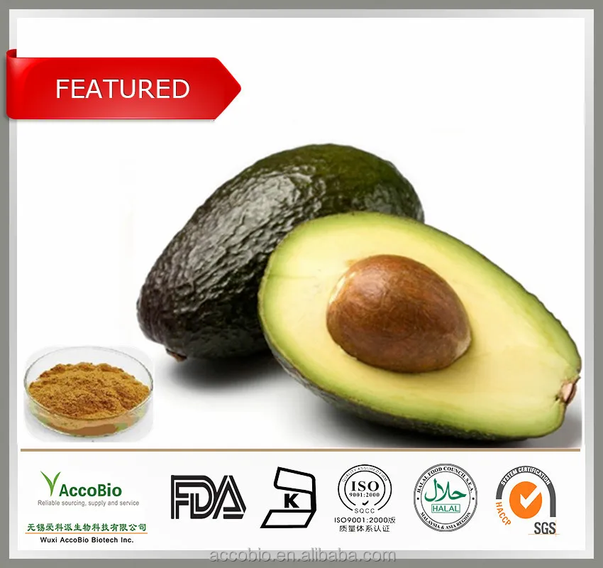 Best Selling 100% Natural Avocado Extract / Best Price Butter Fruit ...