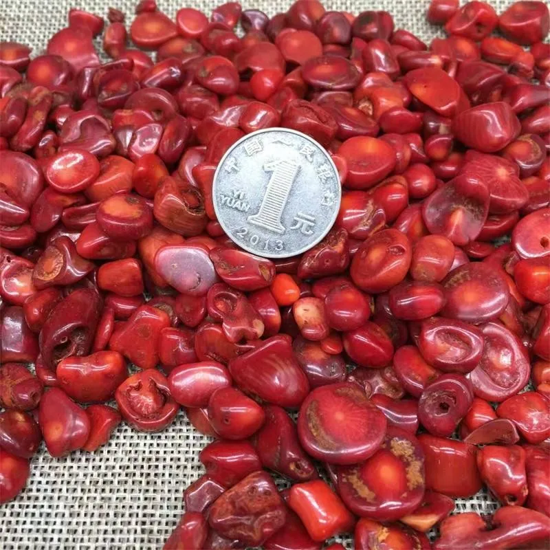 Pierres Incrustées De Corail Rouge Naturel,Pièces En Pierre Brute,Vente ...