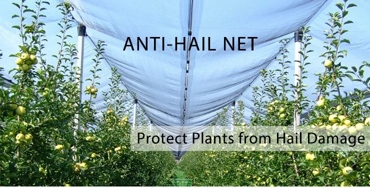 Factory Supply Hail Guard Apple Tree Net Anti-Hail Net