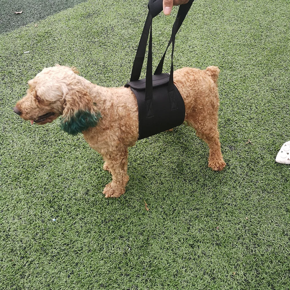 Customized Dog Accessories Portable Elderly Disabled Pet Dog Protection ...