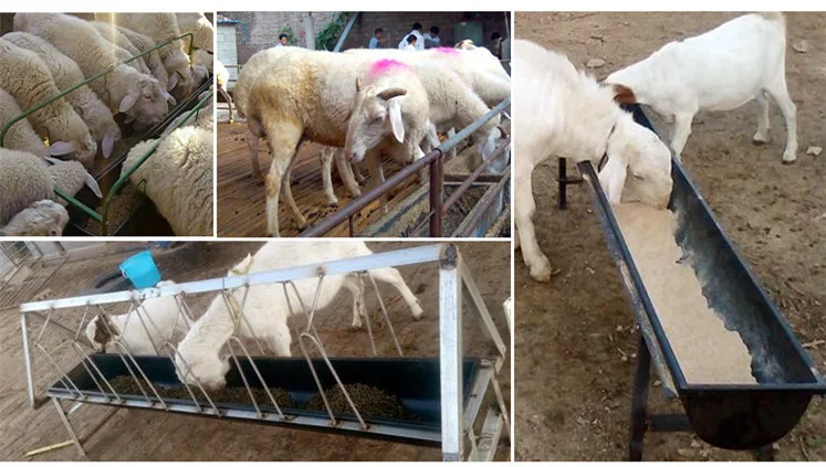 Plastic Sheep Feeding Trough Durable Sheep 1.95m 1m Dry Feed Trough ...