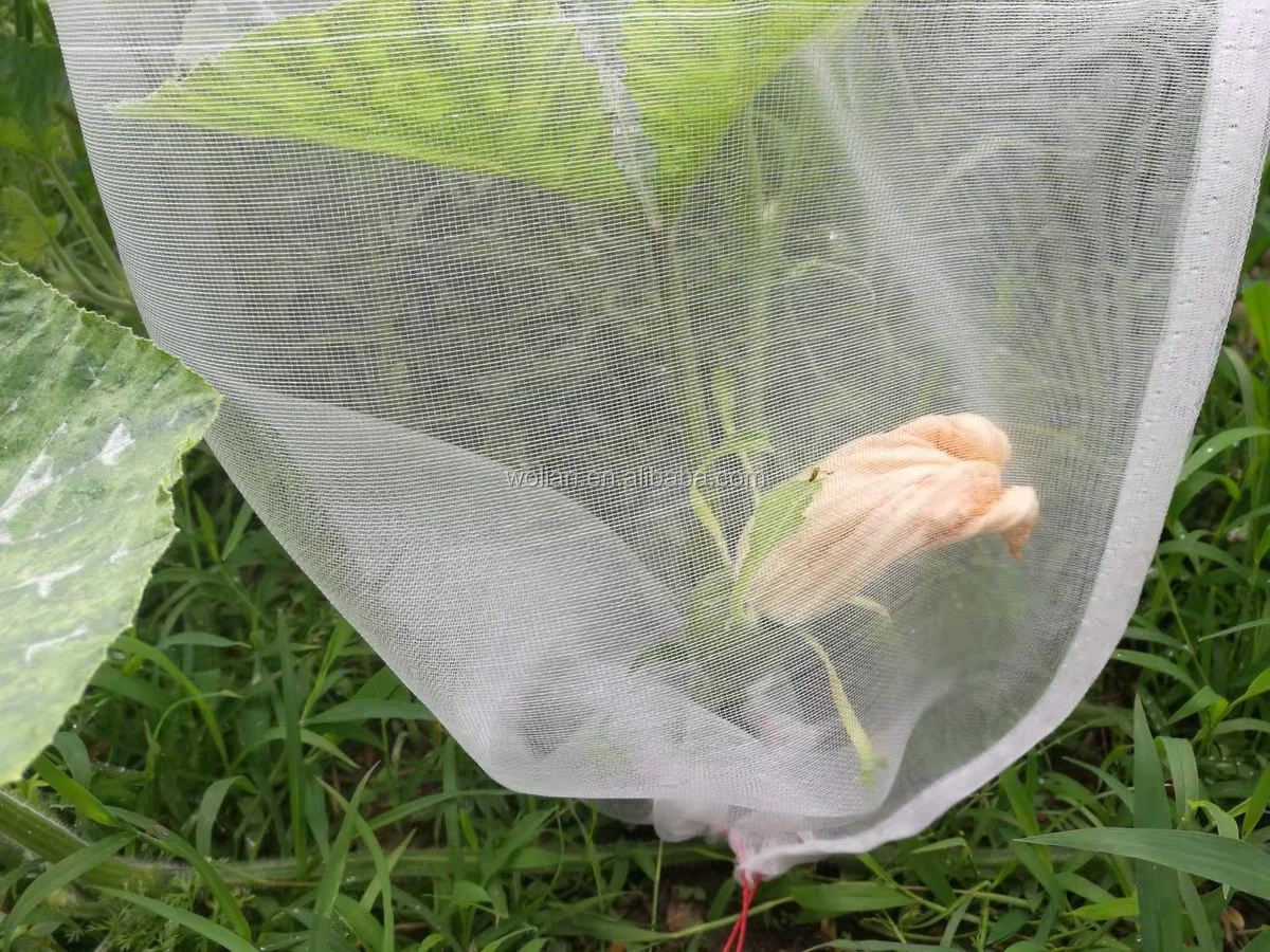 Pest Control Bag Anti Insect Net Bug Net Fruit Storage Apple Grape ...