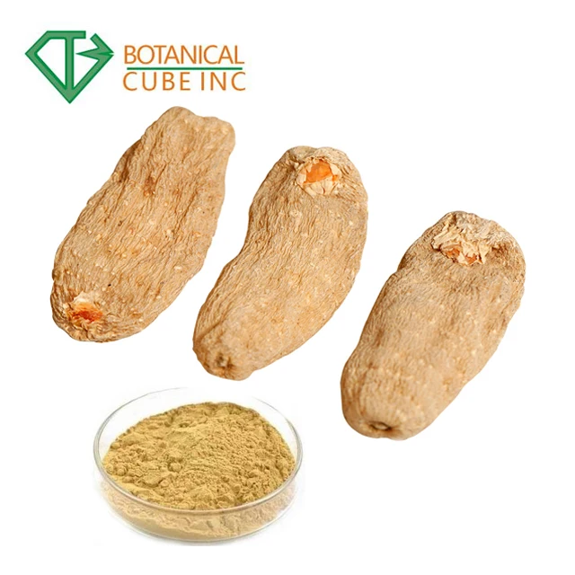 98% Natural Rhizoma Gastrodia Elata Extract - Gastrodin