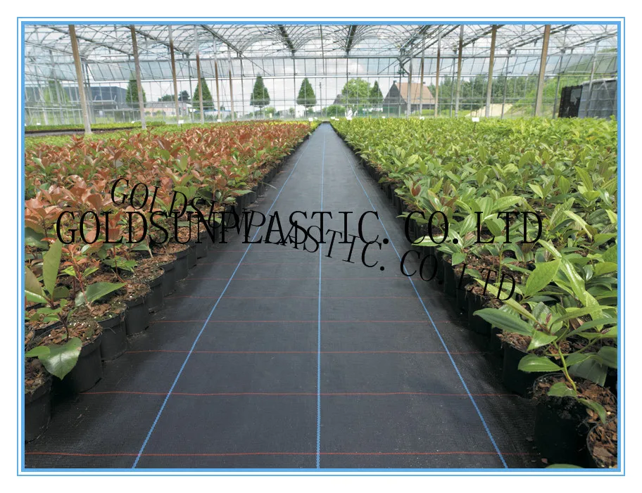 Nursery PP Woven Weed Stop Mat Black pp Fabric Roll Ground Cover Weed ...