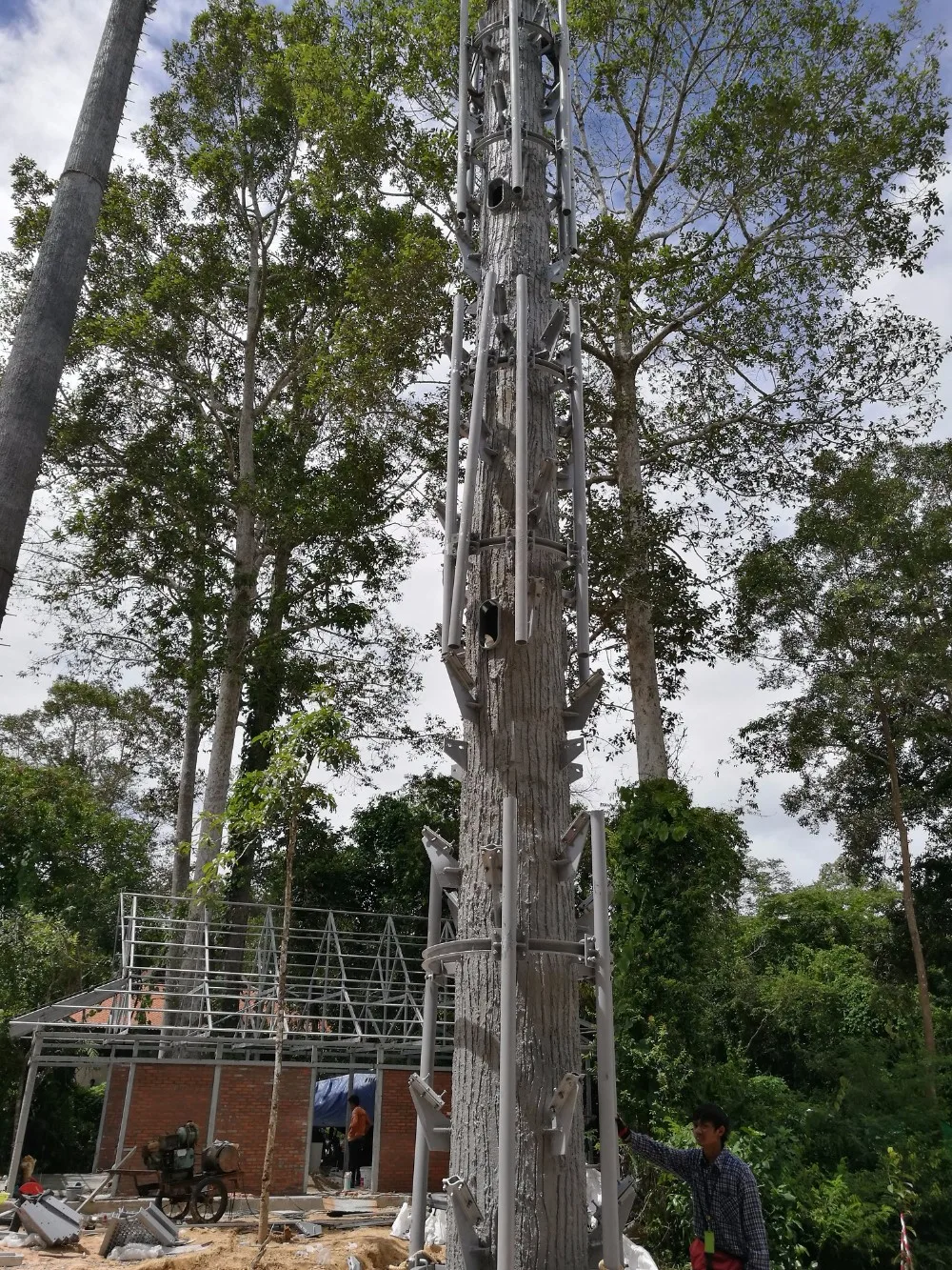 Disguised Cell Tower Monopine - Buy Camouflaged Pine Tree Tower,Disguised Celluar Tower ...