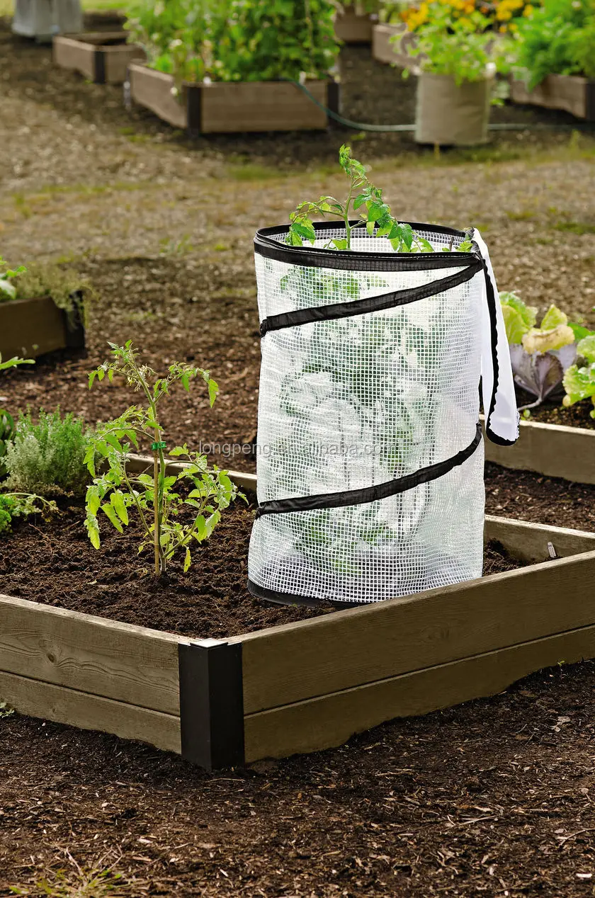 Pop-up Tomato Plant Protector Serves As A Mini Greenhouse To Accelerate ...