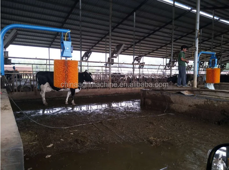 Livestock Machine Cow Massage Scratching Body Brush - Buy Cow Massage ...