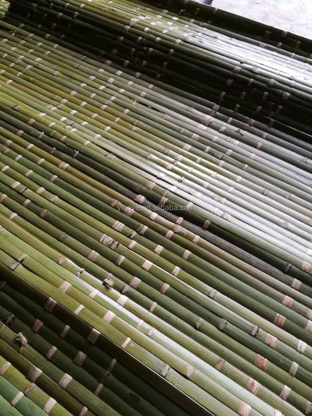 High Quality Polished Bamboo Mat For Sukkot Of Jew - Buy Bamboo Mat ...