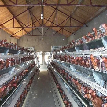 Design Layer Chicken Battery Cage/chicken Laying Cage/chicken Egg Layer ...