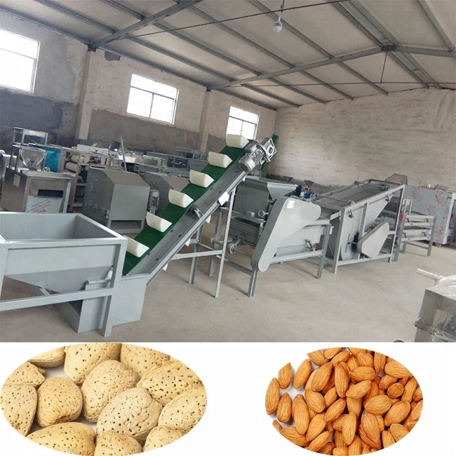 Hot Sale Hazelnut Cleaning Machine For Sale - Buy Hazelnut Cleaning ...