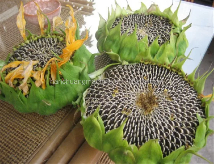 Sunflower Threshing Machine/sunflower Thresher - Buy Sunflower ...