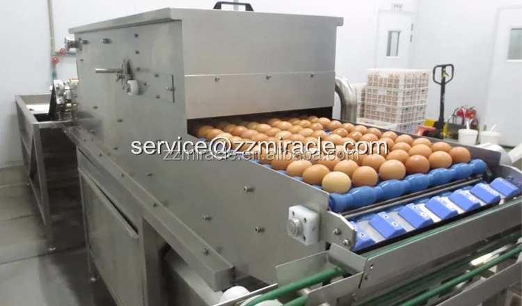 Eggs Washing Machine,Chicken Egg Cleaning Machine,Egg Washer - Buy ...