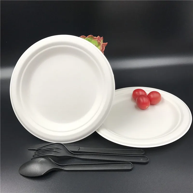 Eco Friendly Sugarcane Bagasse Products White Disposable To Go Plates ...