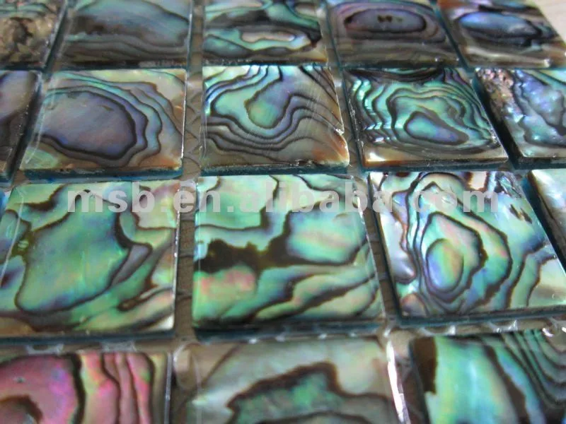 Resin Coated Abalone/paua Shell Mosaic Tile For Wall Decor - Buy ...