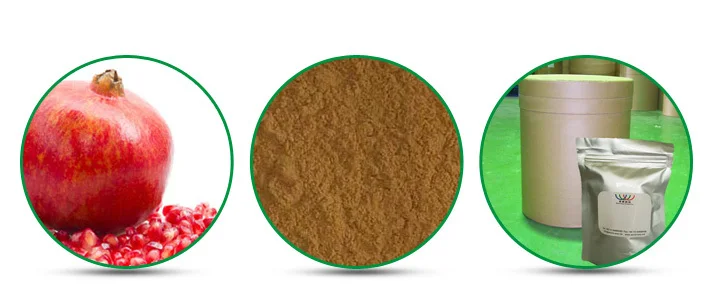 Pure Natural Punicalagin Pomegranate Extract,Pomegranate Extract Powder ...