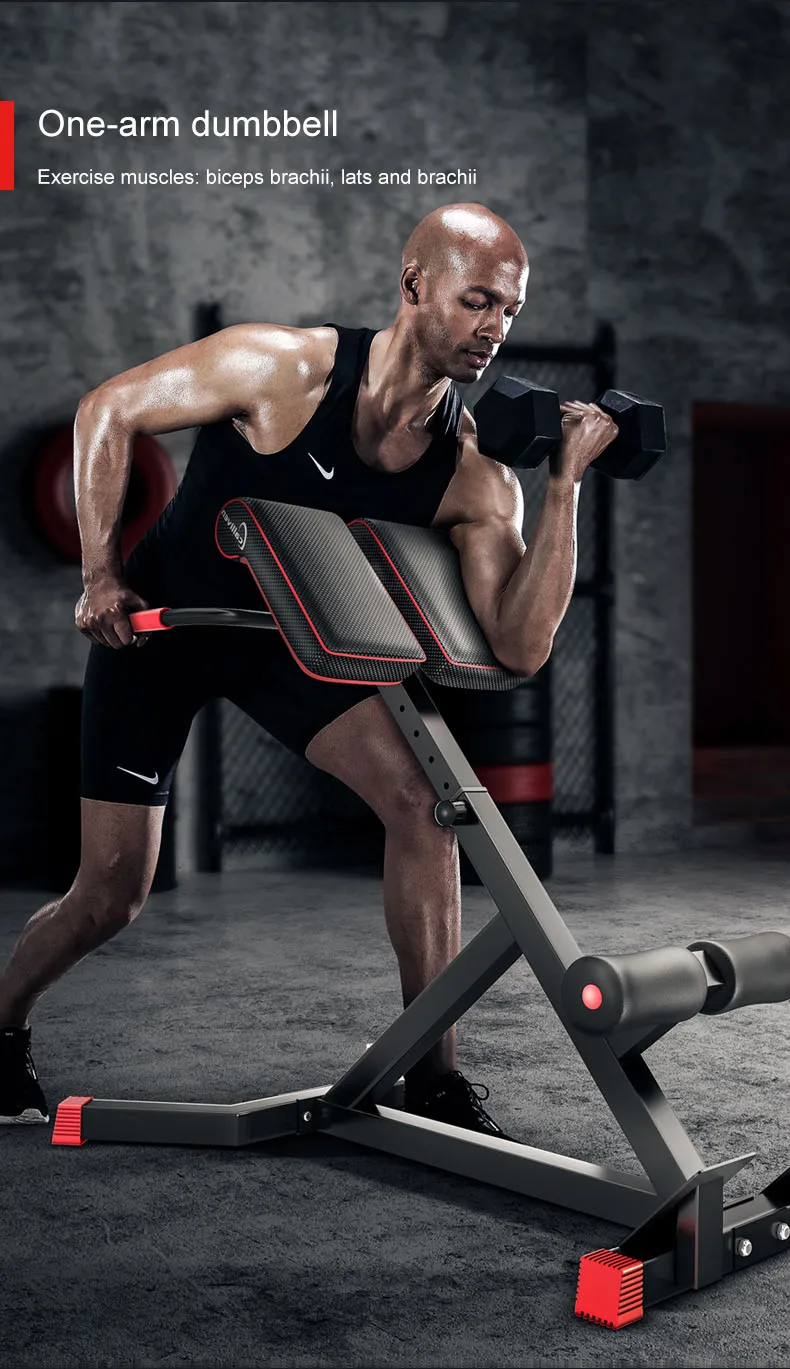 Roman Chair Planet Fitness - Professional Body Building Equipment