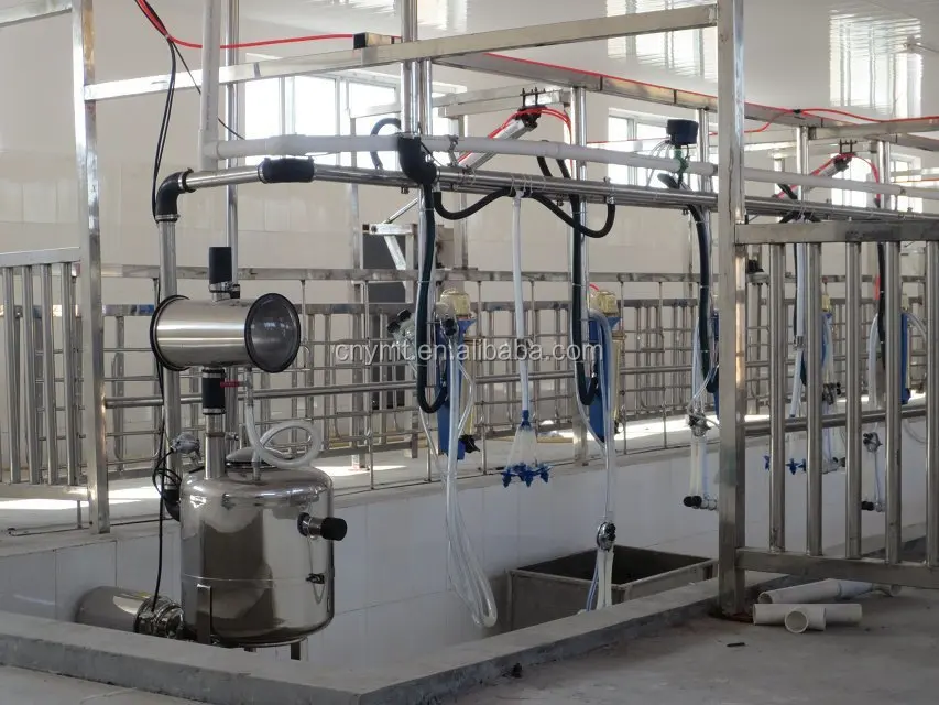 Automatic Parallel Goat/sheep Milking Machine System - Buy Automatic ...