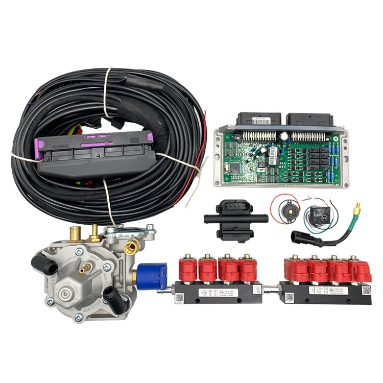 NGV LPG CNG Engines Fuel Gas Injector Conversion Kit