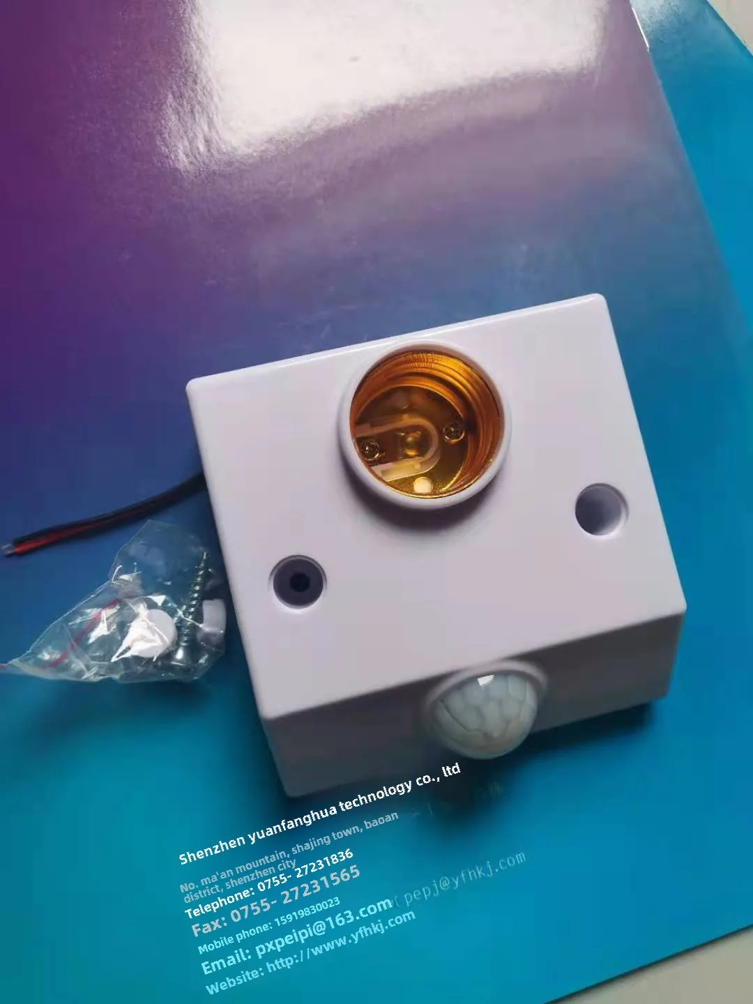 New Human Body Sensor Stair and Walkway Lamp Holder Inductive Switch ...