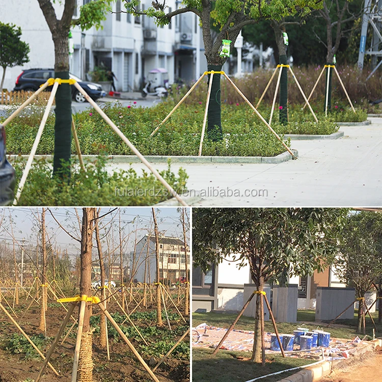 Sturdy Tree Support Frame - Durable & Versatile Kit