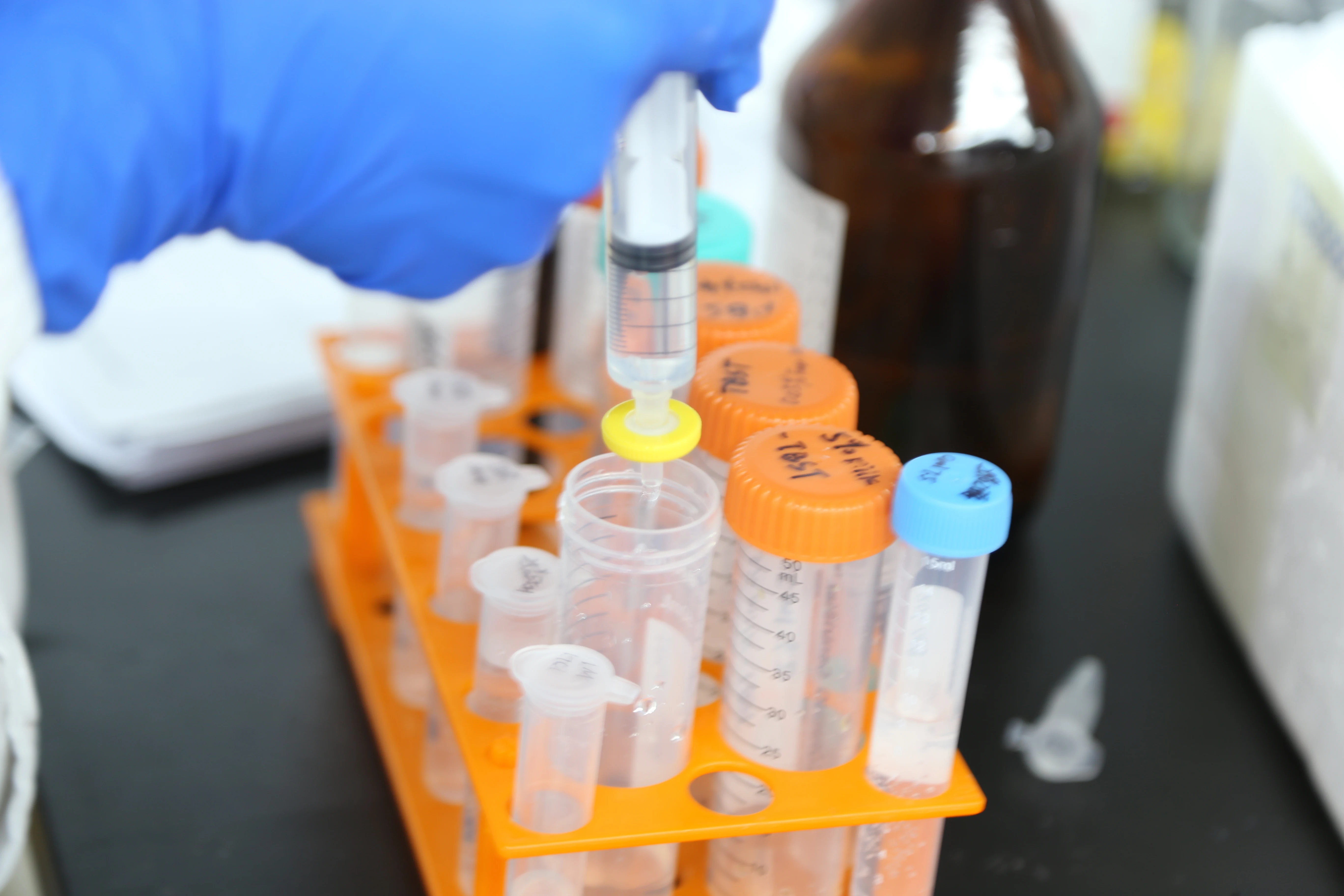 Western Blot Elisa Subtrate Luminol Ecl Luminescence Reagent Hrp ...