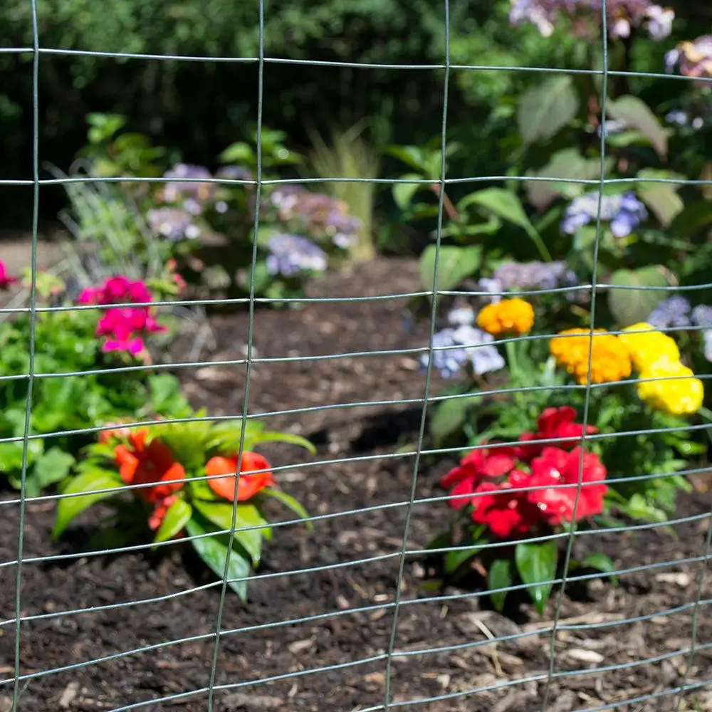 Galvanized Welded Wire Mesh - Durable Dog Fence Solutions
