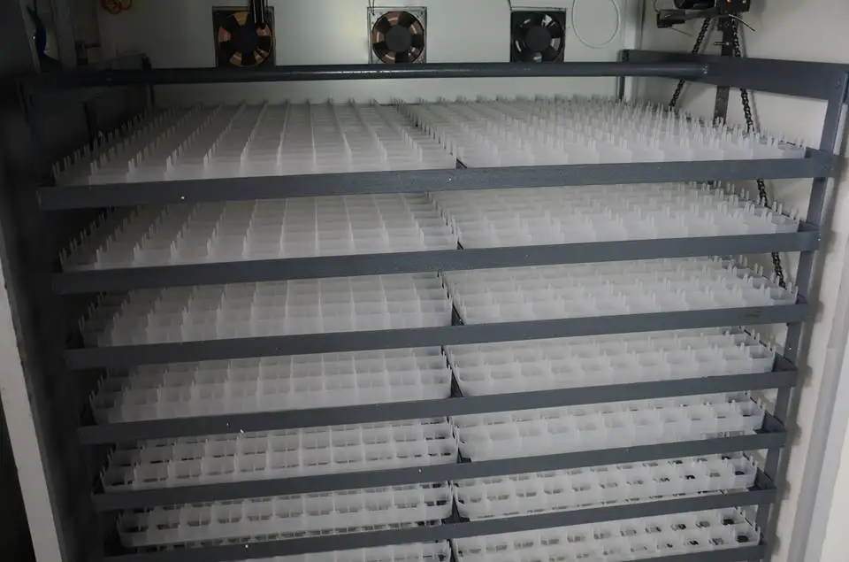 Food Grade Incubator Hatching Baskets Setter Hatcher Tray