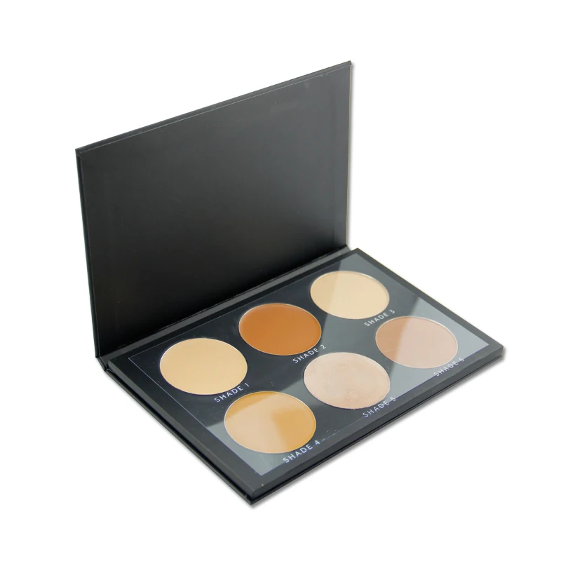 Professional No Logo Highlighter 6 Colors Full Coverage Concealer ...