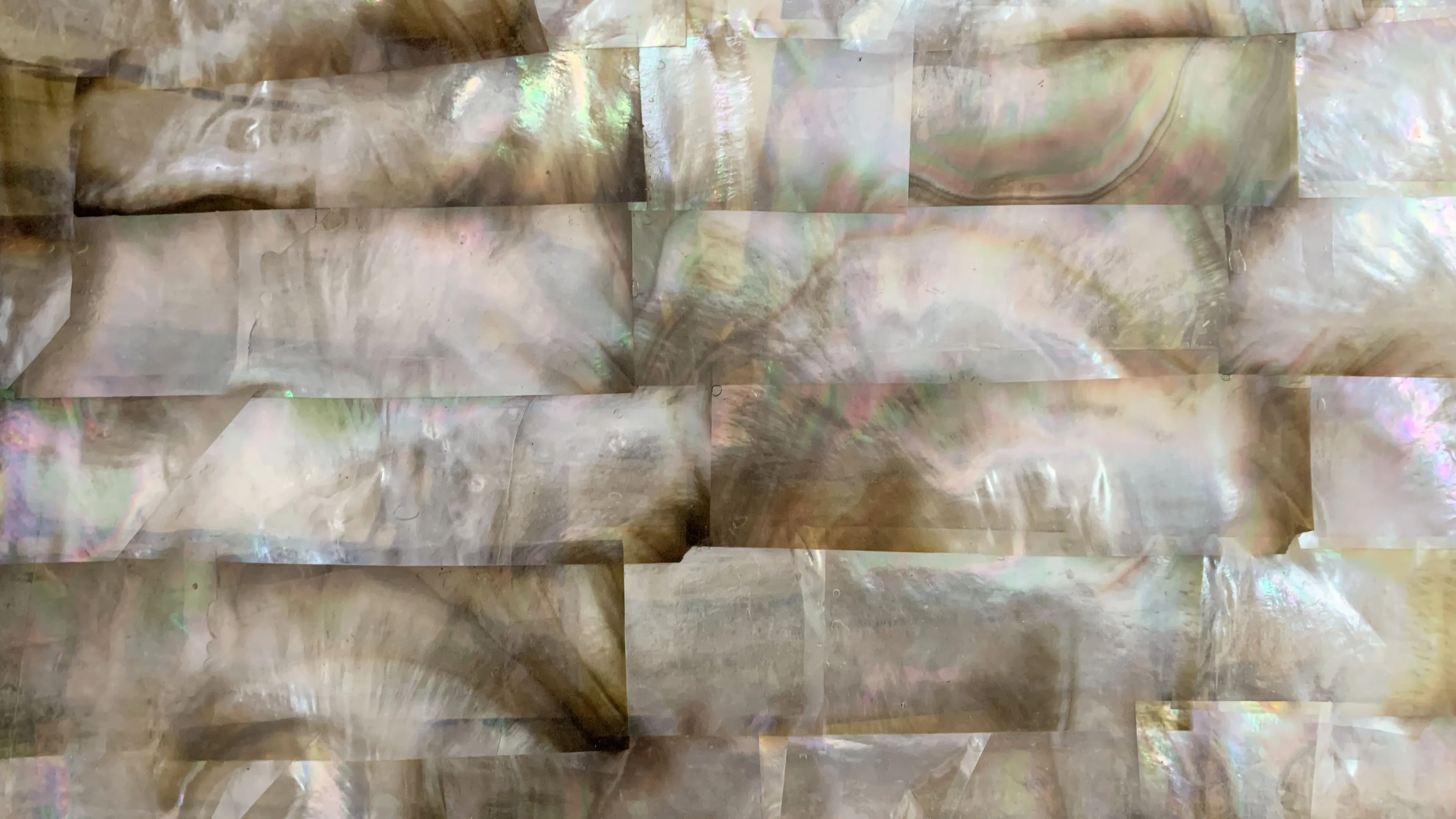 Natural Abalone Shell Sheets - Elegant Mother of Pearl