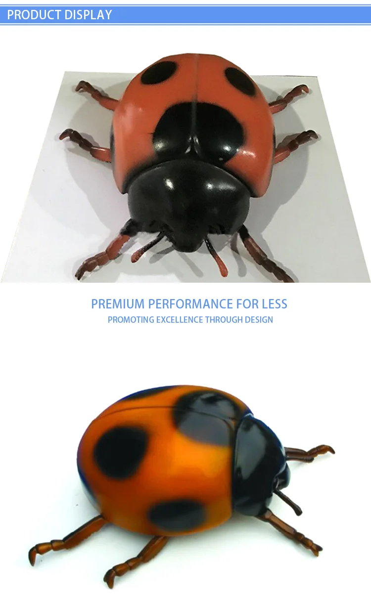 Medical Science Animal Ladybug Anatomy Model Training