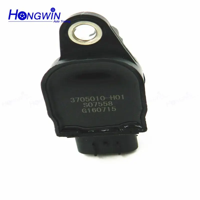Koil pengapian No. 3705010-h01 G160715 asli dengan colokan untuk ...