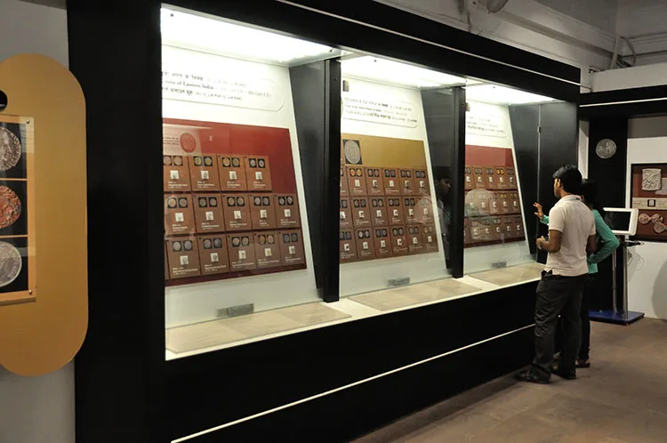 Museum Display Wall