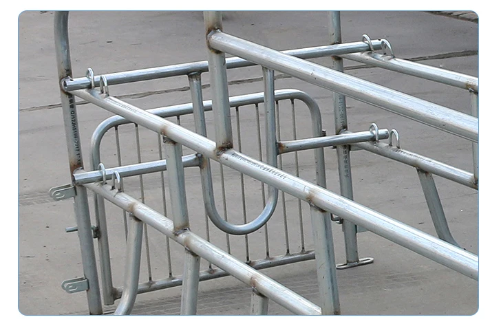 Pig Farrowing Crate for Swine Farming - New Gestation Cage with ...