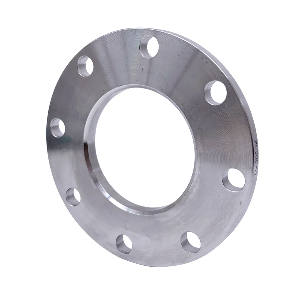 304 Stainless Steel Flanges PN10 Non-Standard Flat Forged Flange for ...
