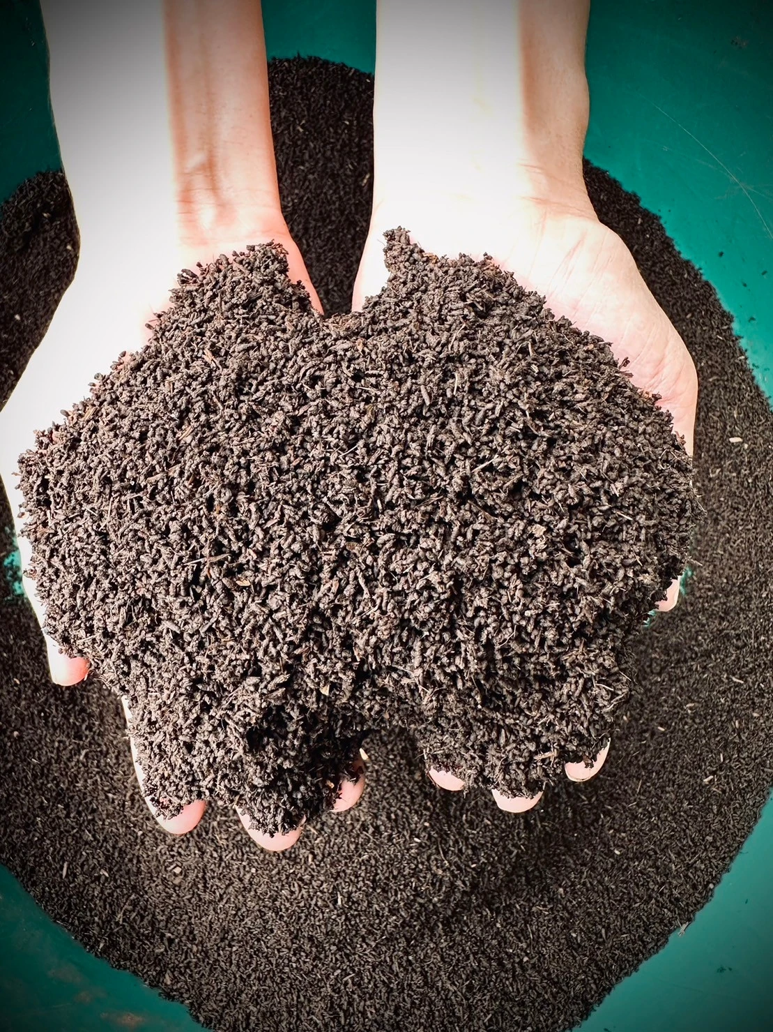 Black Fertilizer Vermicompost Nutrients Cheap Color Form Natural ...
