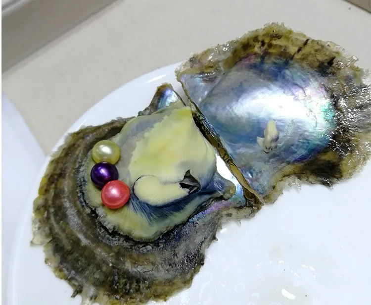 Wholesale 6-8mm Akoya Pearl Oyster - Natural Saltwater Pearls