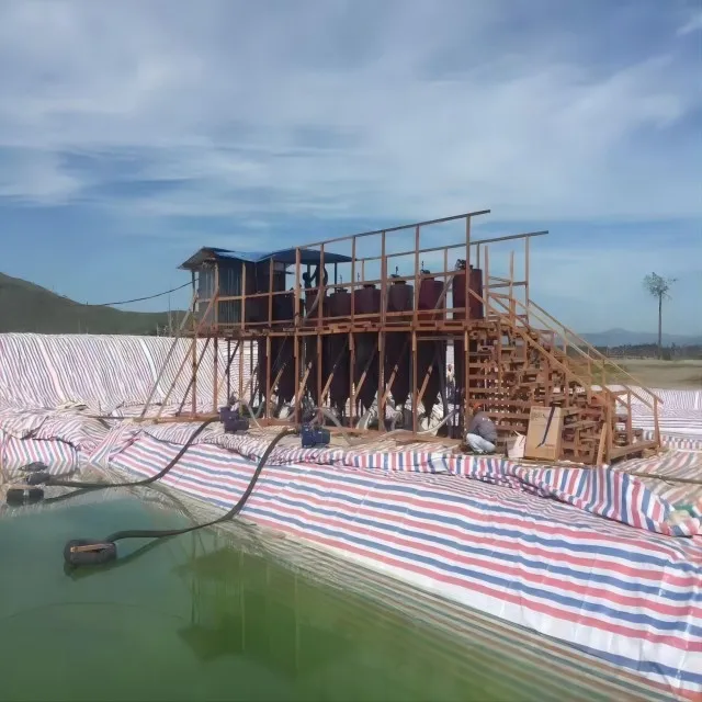 Leaching Agent Gold Extraction Gold Leaching Agent Jin Chan Gold ...