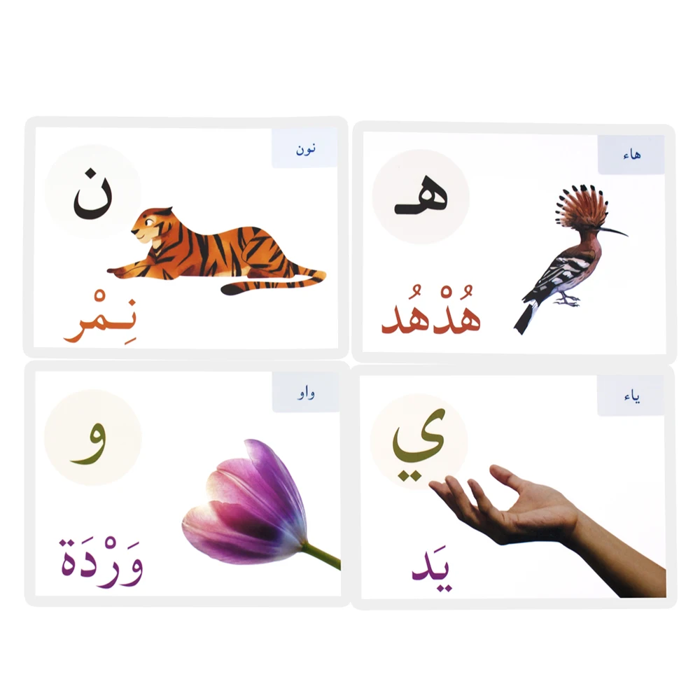 28Pcs Arabic Letter Flashcards Vocabulary Montessori Kids Cards ...