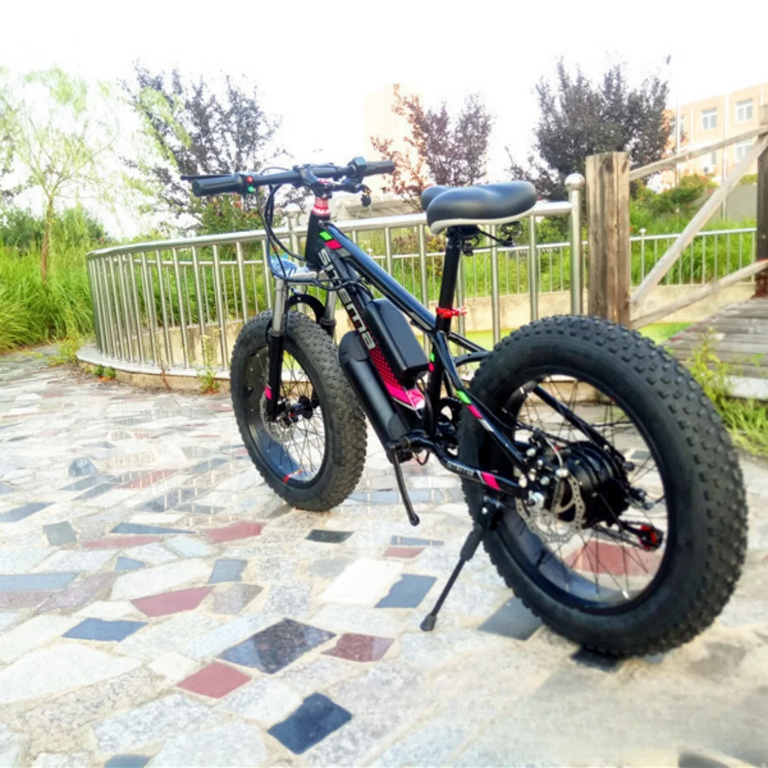 20 Inch Stacked Shock Absorber Snowmobile 4.0 Outer Tire Dual Disc ...