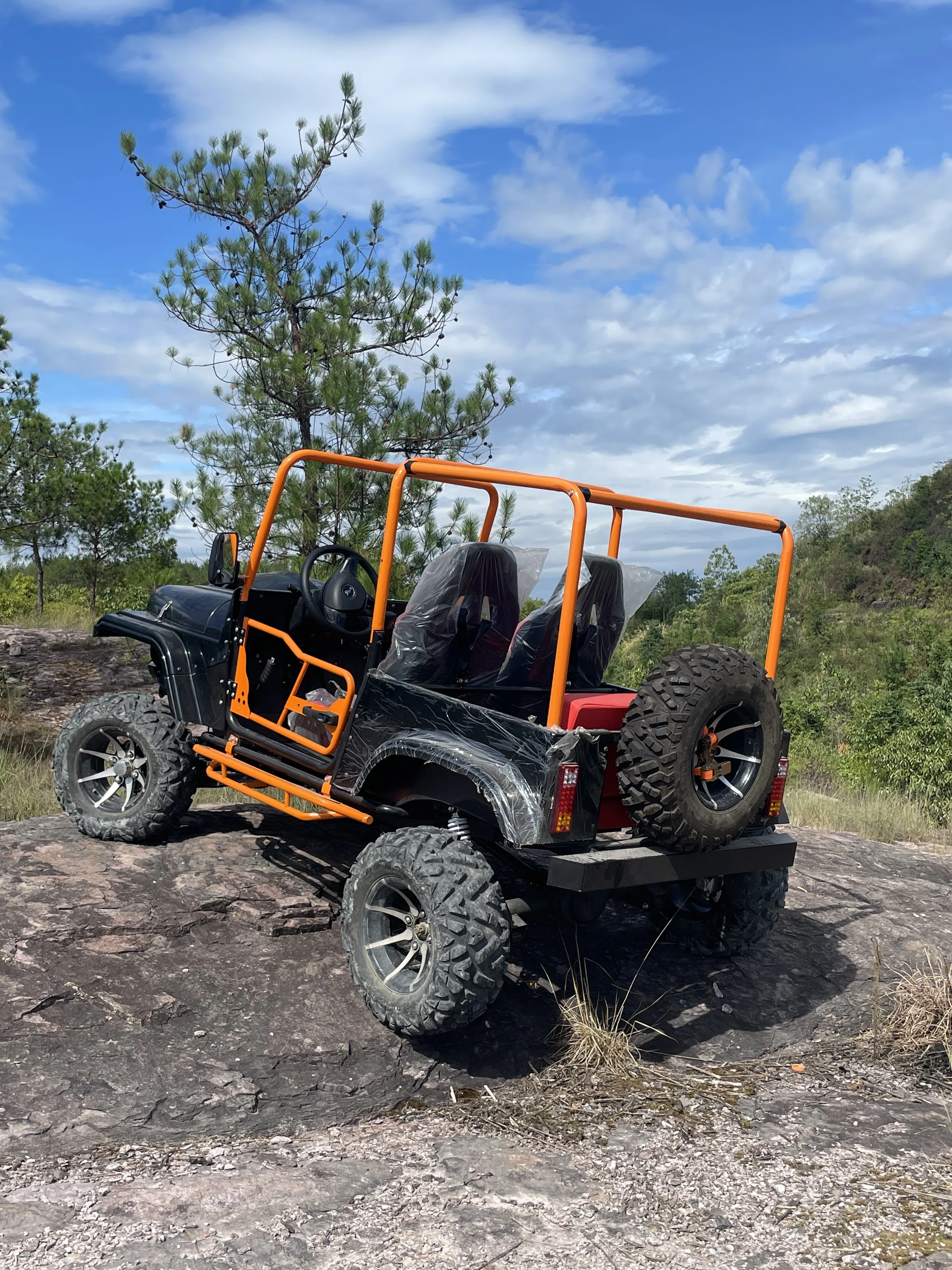 300cc Dune Buggy Optional Two Wheel Drive Four-wheel Drivewheel Off ...