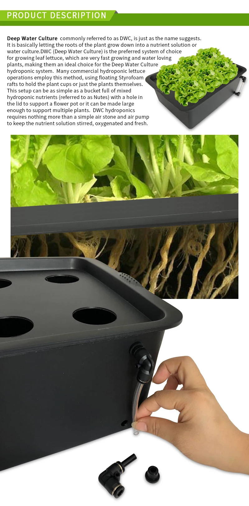 Container Hydroponic Home Hydroponic DWC System - Grow Veg!