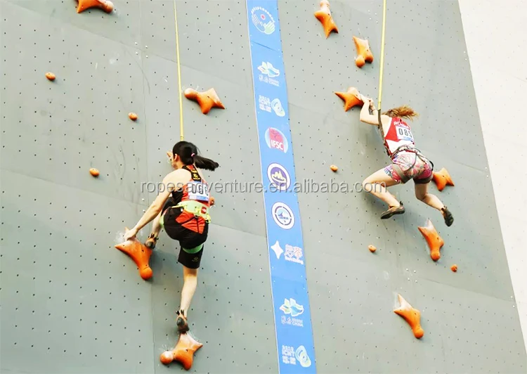 Auto Belay Artificial Rock Climbing Wall for Indoor & Outdoor