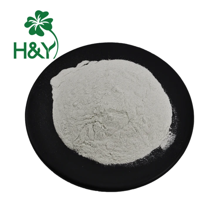 Irish Sea Moss Powder Extract - 10:1 & 20:1 Solvent Extraction