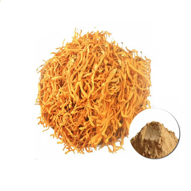 Wholesale Price Cordyceps Mycelium Liquid Fermentation Powder| Alibaba.com