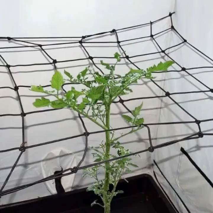 Scrog Grow Net Bag 70x70cm 13mm Holes Size 4mm Bungee Cord White Color ...