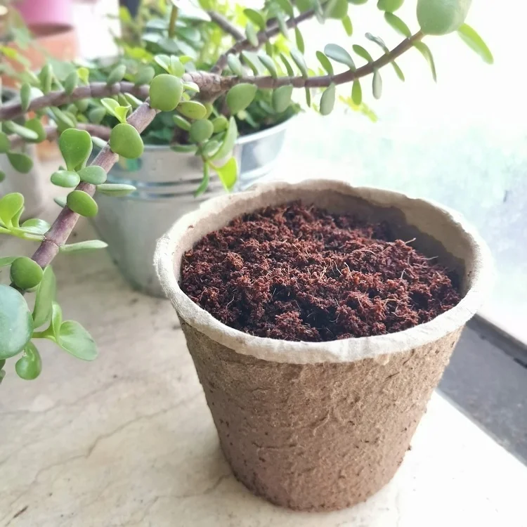 Nursery Paper Pots - Eco-Friendly Plant Pots for All Seasons