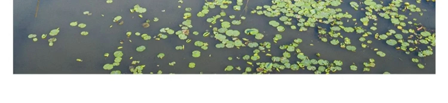 OEM Customizable Antiseptic Formalin Liquid Plastic Tissue Fixative ...