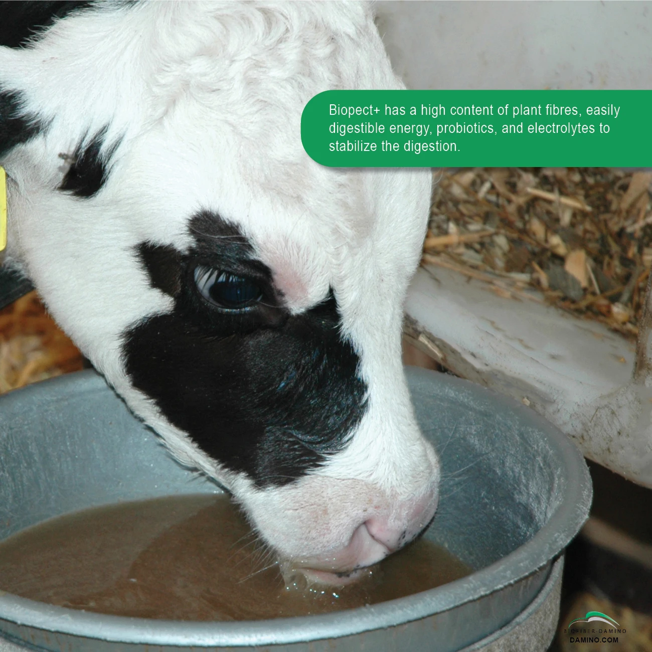 Biopect+ Complementary Dietetic Feed Stabilization Of Fluid ...