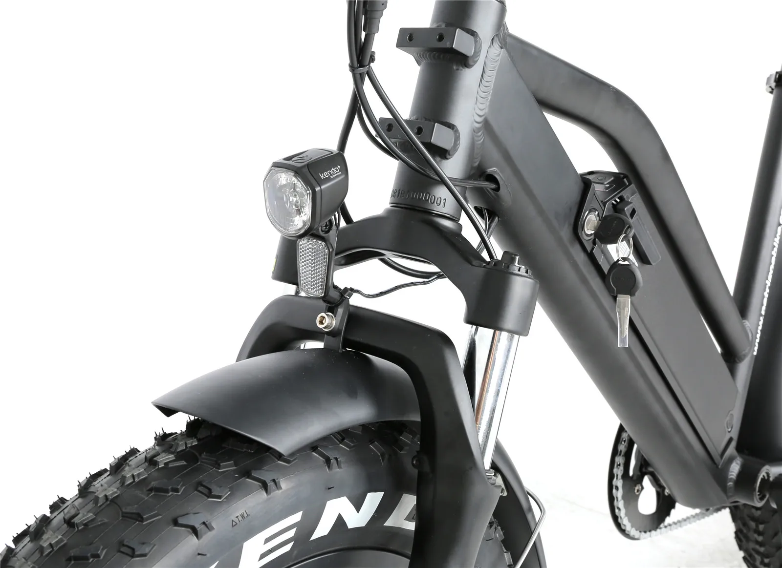 Petrigo Chinese Cheap E-bike Motor Adult Electric Bike 36v/48v 250w ...