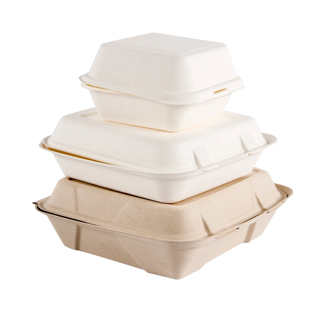 Biodegradable Clamshell Packaging Container Sugarcane Bagasse Paper ...